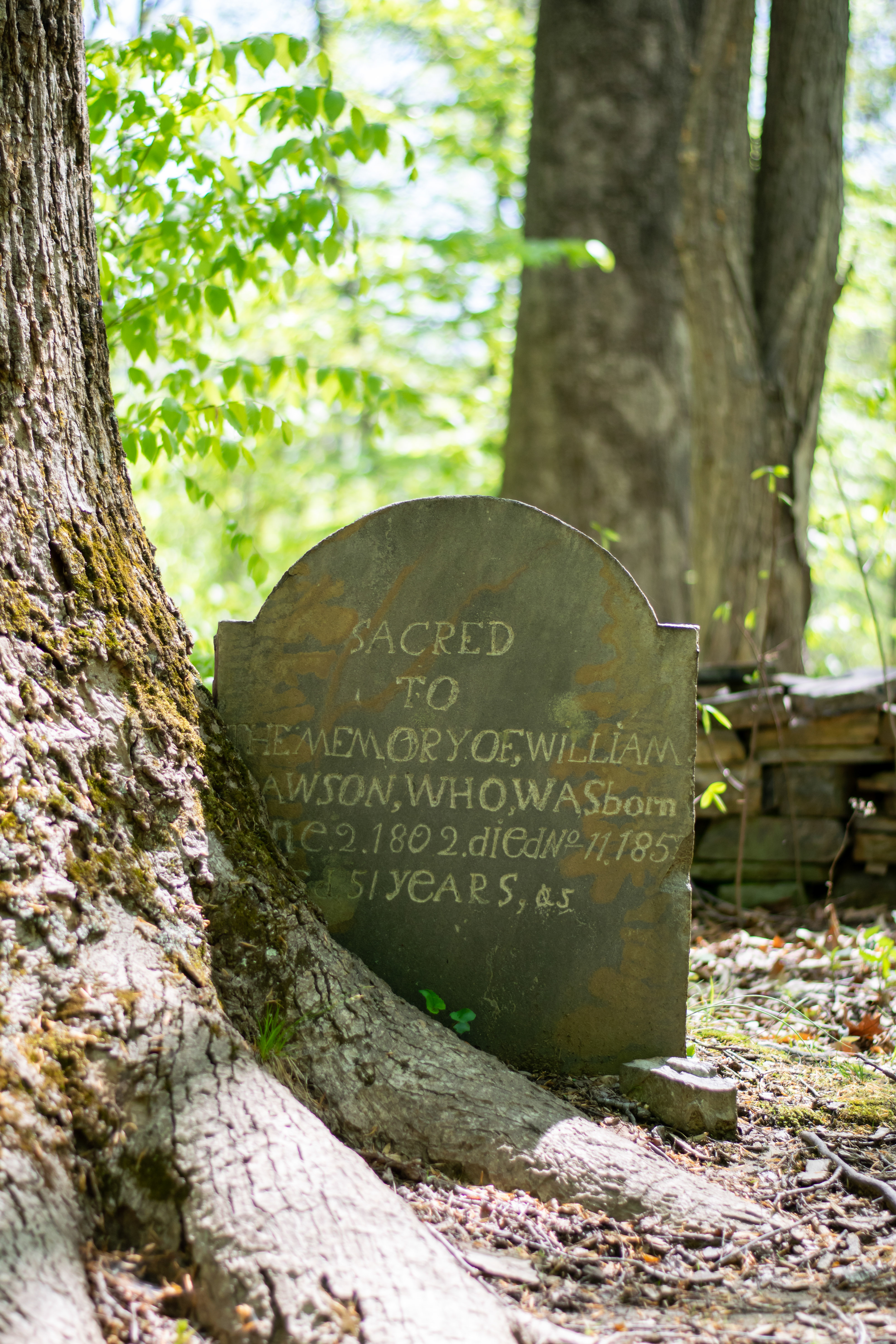 Bull Run Mountains Natural Area Preserve - Virginia Outdoors Foundation