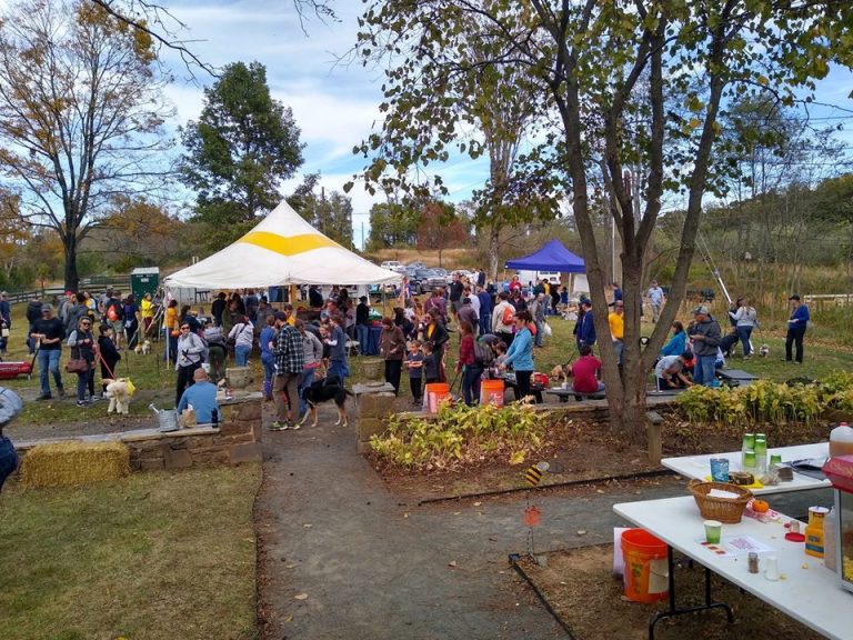 Banshee Reeks Nature Preserve, Loudoun County - Virginia Outdoors ...