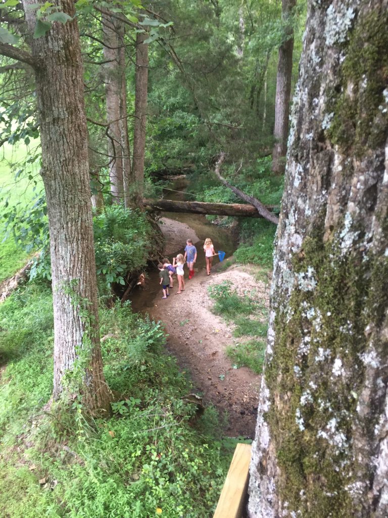 Ronnie Nuckols, Overhome Farm, Goochland County - Virginia Outdoors ...
