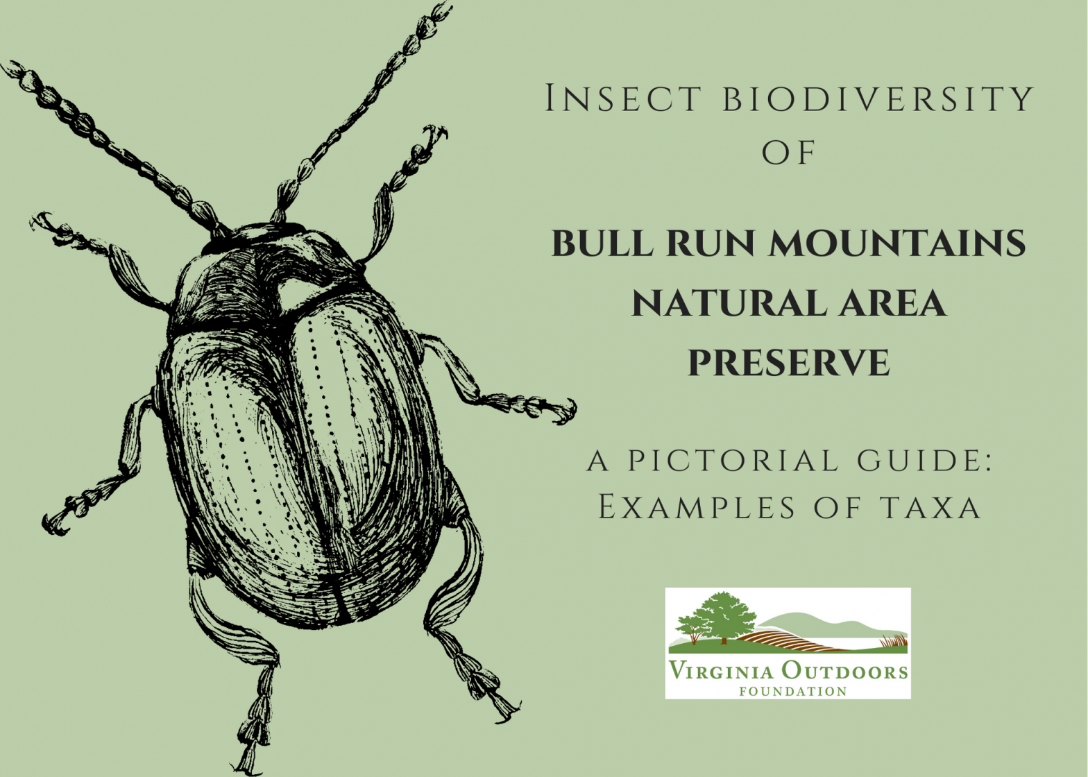 Bull Run Mountains Natural Area Preserve - Virginia Outdoors Foundation