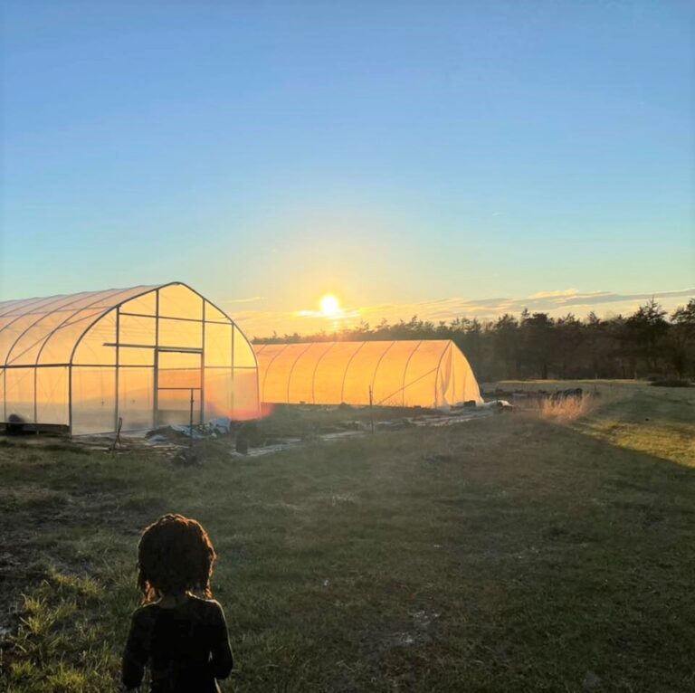 Africulture, Carter Family Farms, Orange County - Virginia Outdoors ...