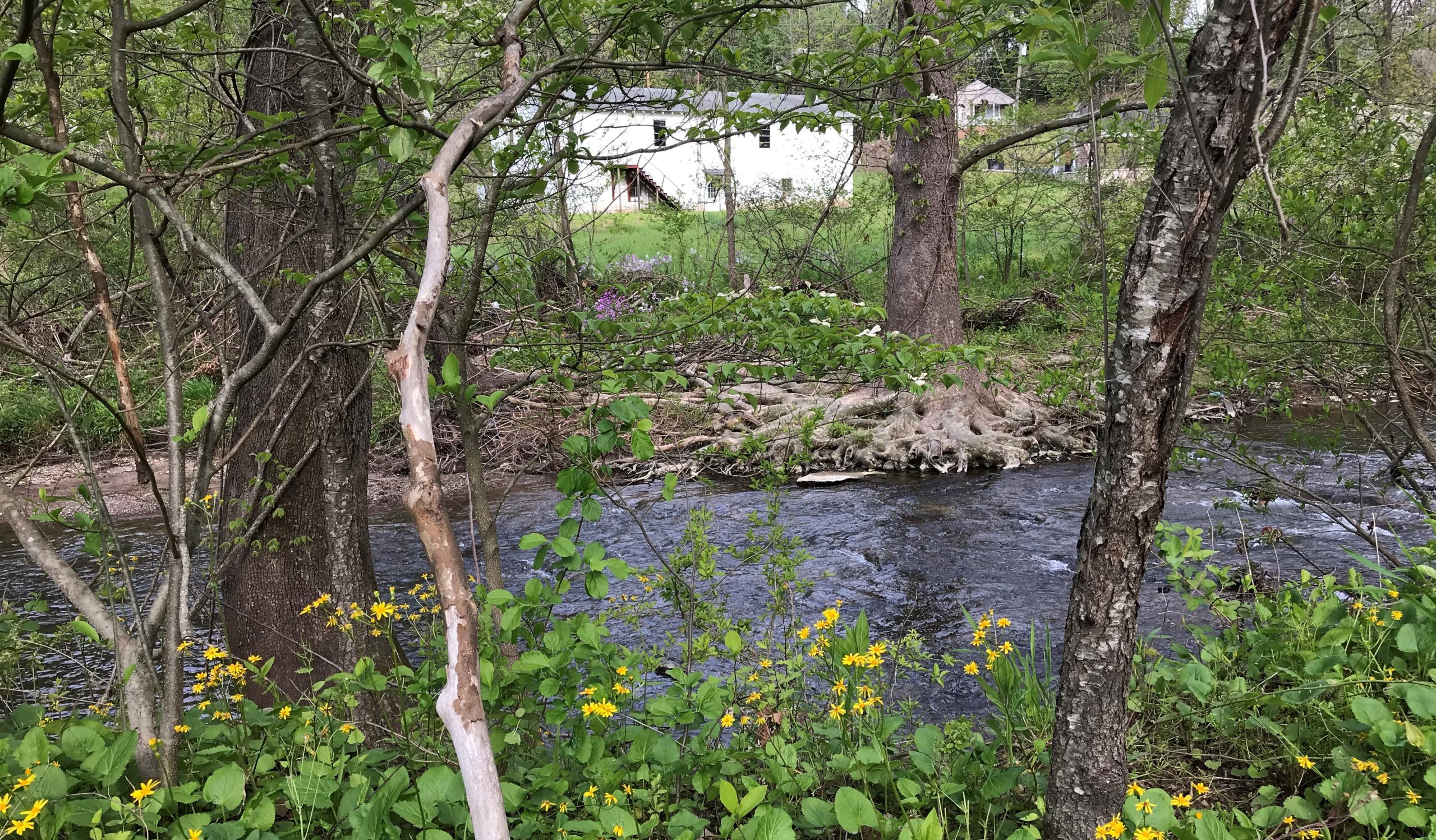 T.G. Howard Community Center and Calfee Community & Cultural Center ...