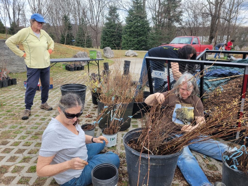 Plant SWVA Natives Campaign and Propagation Center, Montgomery County ...