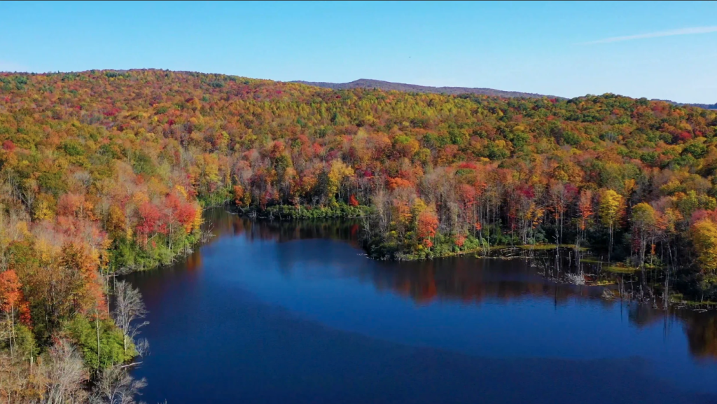 VOF announces $2.2 million for 22 open-space projects across Virginia ...