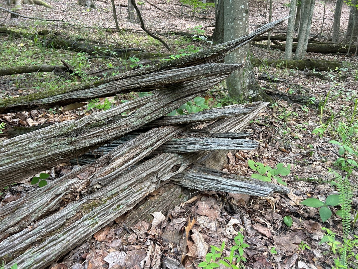 New Split Rail Fences from Historic Use of Black Locust Wood - Virginia ...