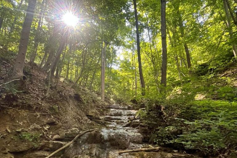 Virginia Outdoors Foundation | Protecting Virginia's Open Spaces